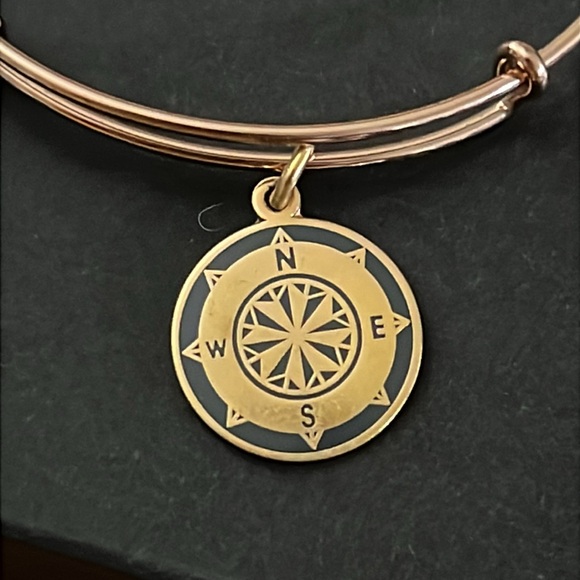 Alex and Ani | Jewelry | Rose Gold Compass Charm Bangle | Poshmark